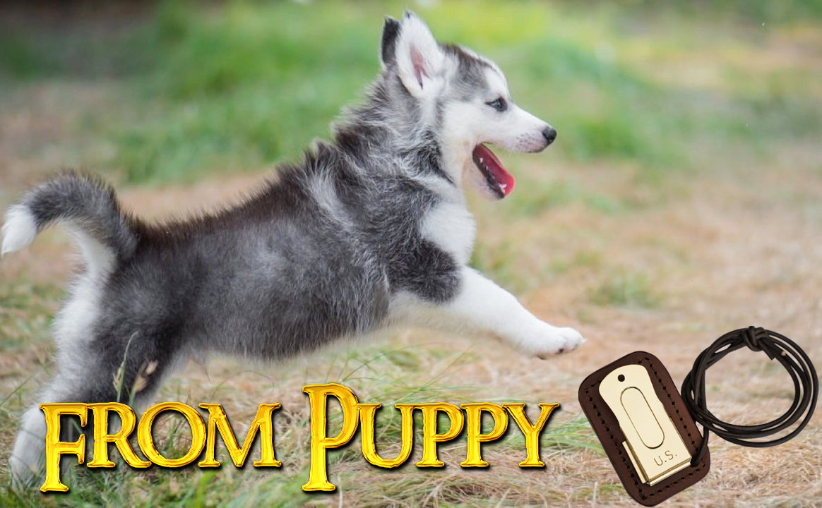 Mythrojan Military Grade Dog Training Clicker : Solid Brass and Steel